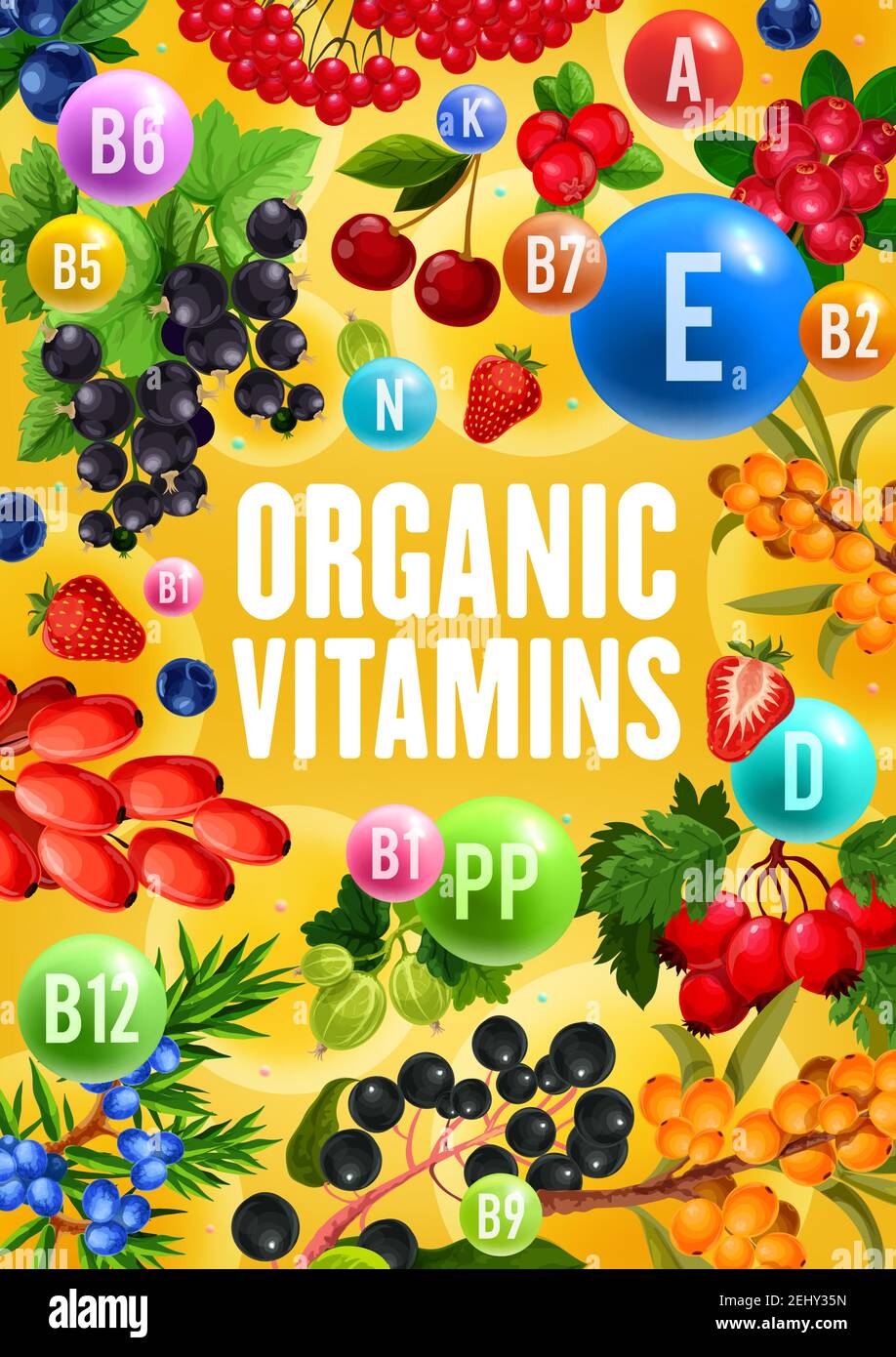 Berries with natural organic vitamins and minerals complex. Vector ...