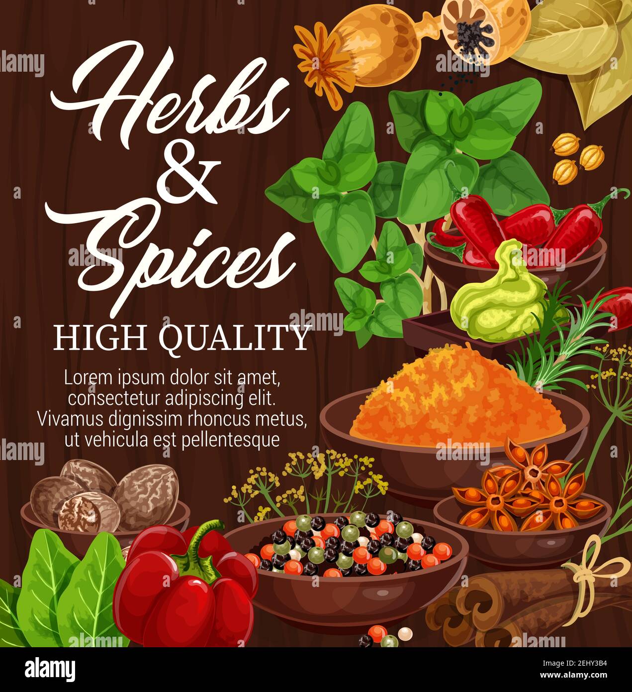 Anise star chili pepper Stock Vector Images - Alamy