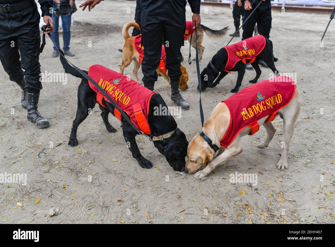 February 20, 2021, Dhaka, Dhaka, Bangladesh: RAB dog squad inspect in ...