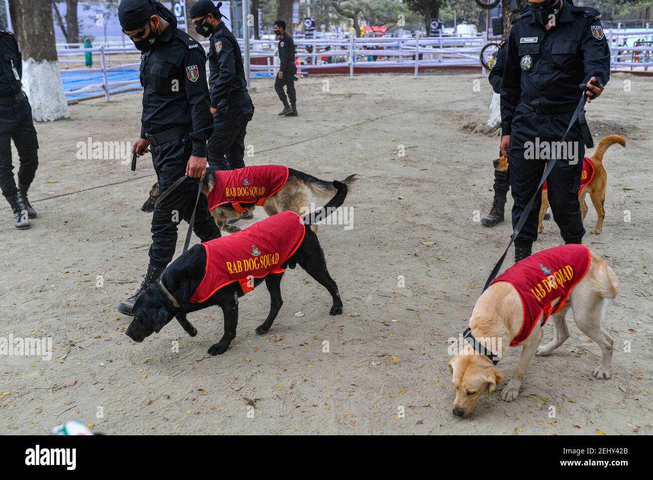 February 20, 2021, Dhaka, Dhaka, Bangladesh: RAB dog squad inspect in ...