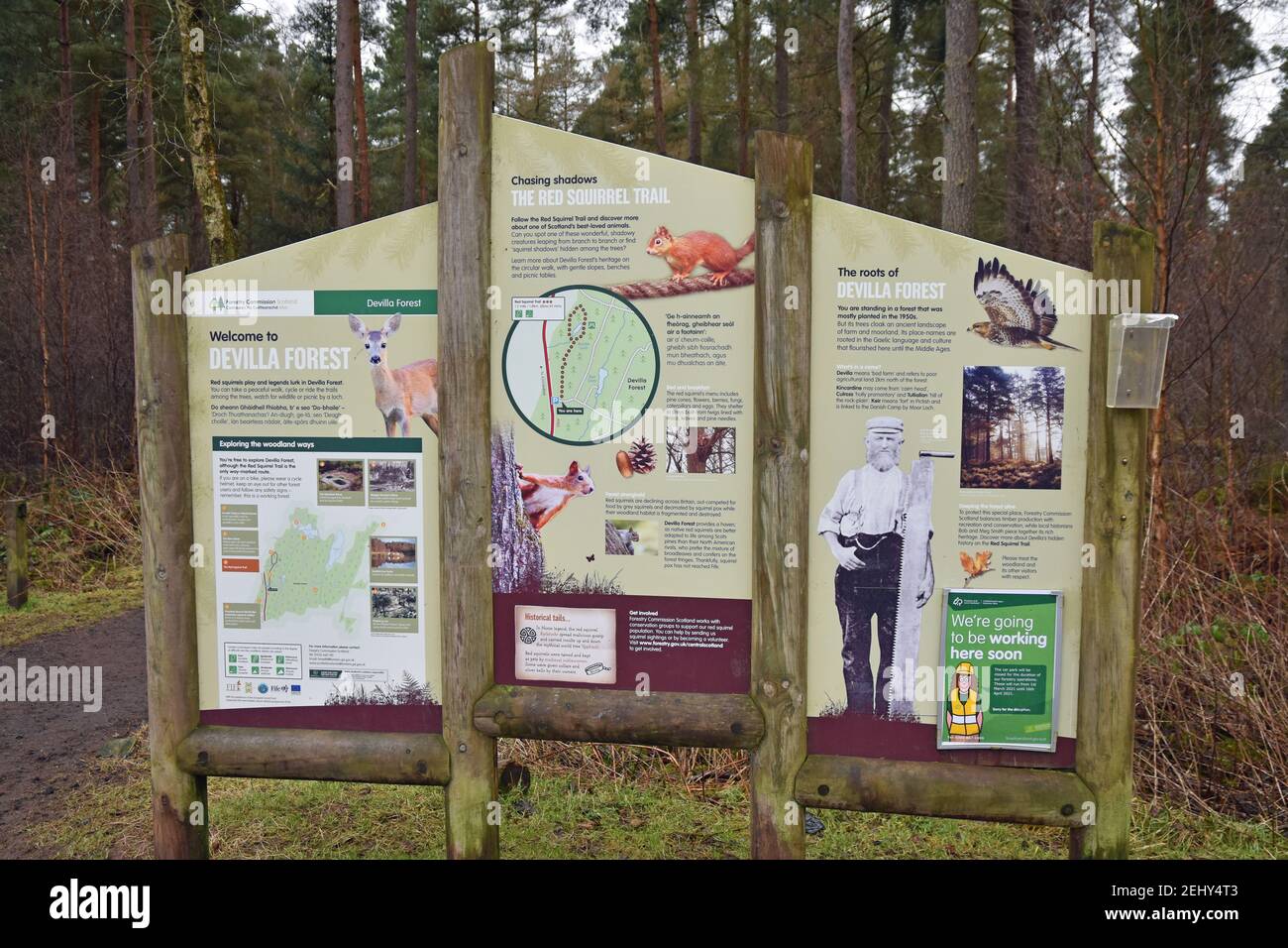 Public information board at Devilla Forest, Fife, Scotland showing maps ...