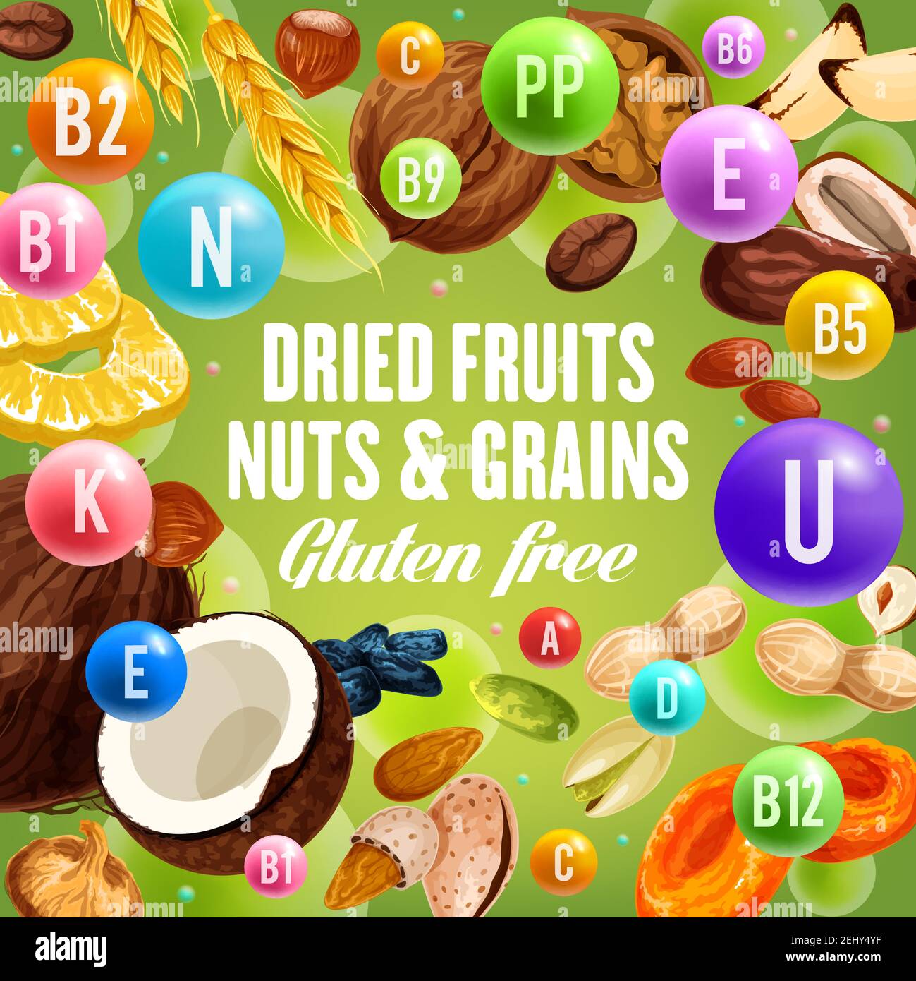 Dried coconut shell Stock Vector Images - Alamy