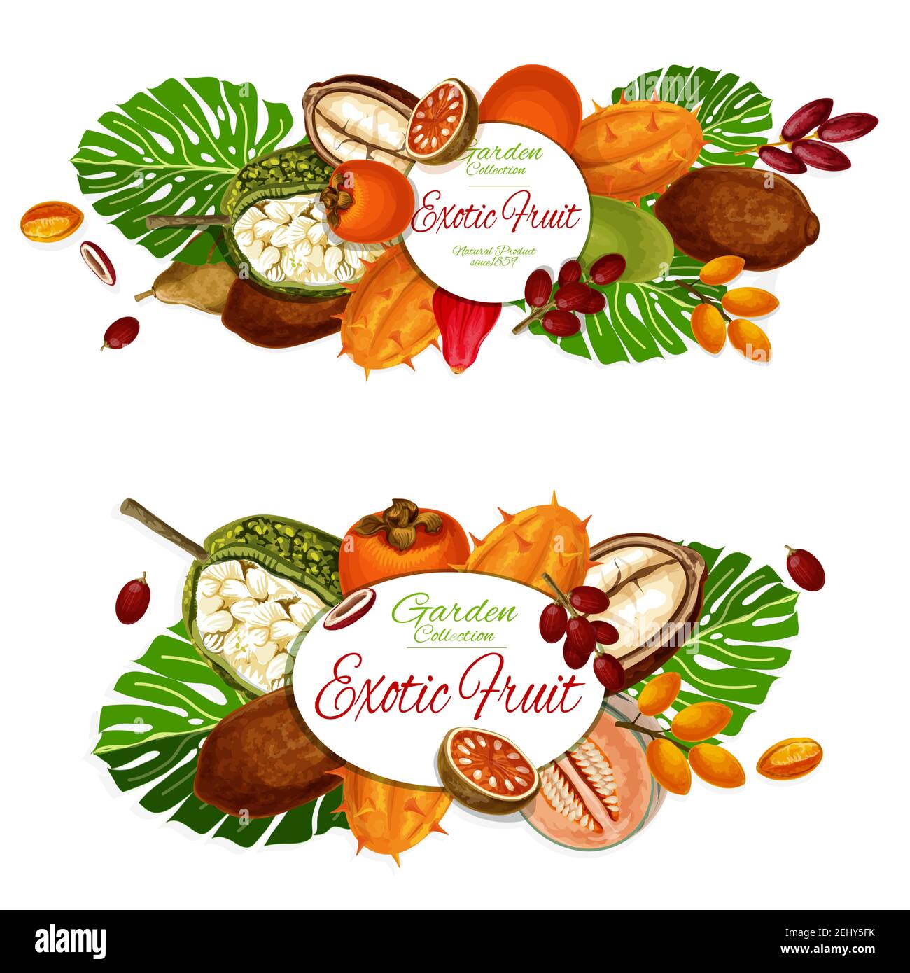 Exotic fruits and berries vector posters with tropical star apple ...