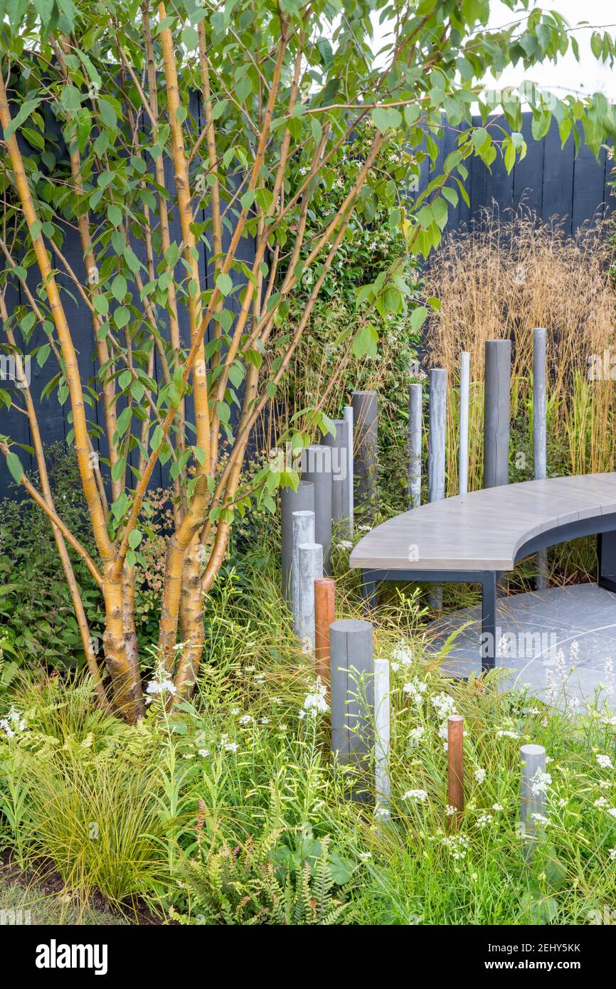A modern garden bench on stone paved patio - planting of multi stemmed ...