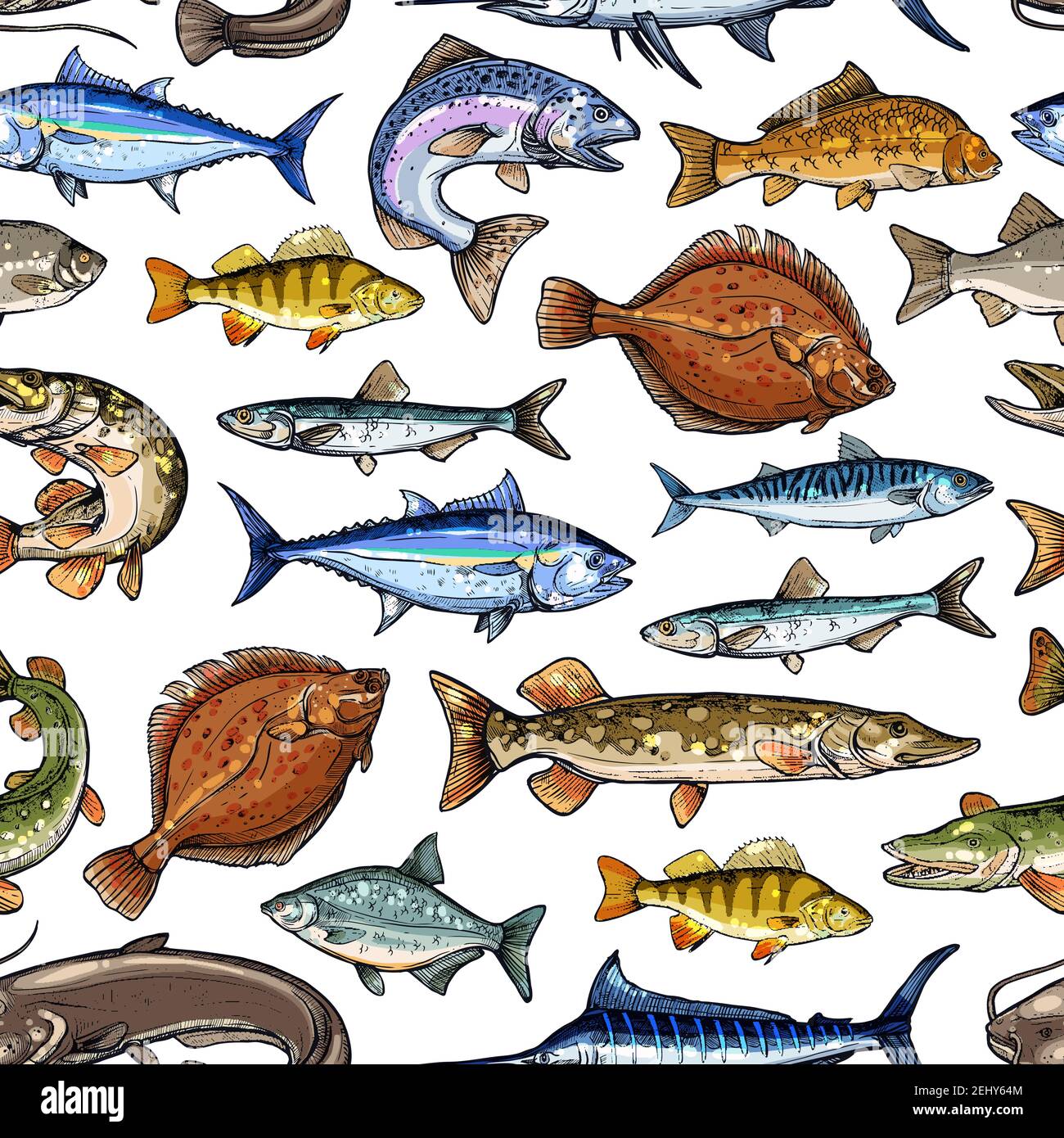 Fish sketch seamless pattern. Vector fishing marlin, scad or horse ...