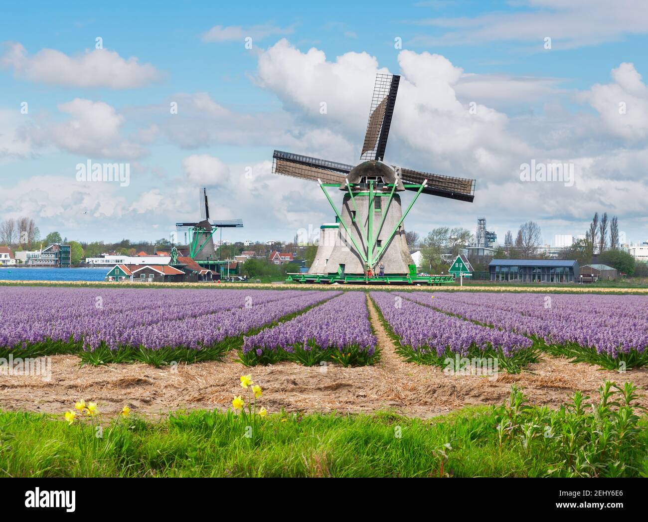 Traditional old dutch wind hi-res stock photography and images - Alamy