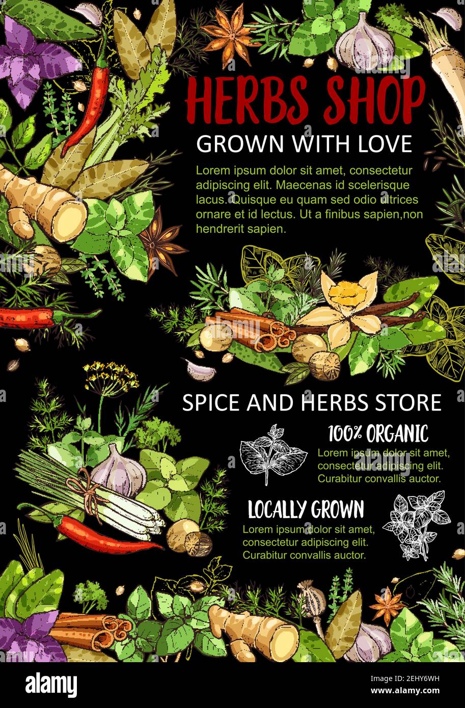 Spice leaves parsley dill Stock Vector Images - Alamy