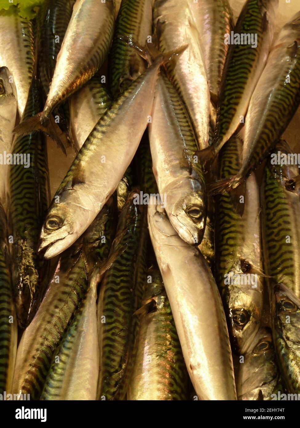 Freshly caught sardines hi-res stock photography and images - Alamy