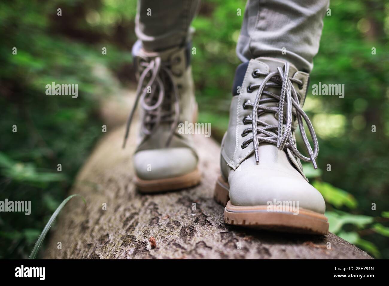 Hiking boot. Hiker walking at fallen tree trunk in forest. Tourist ...