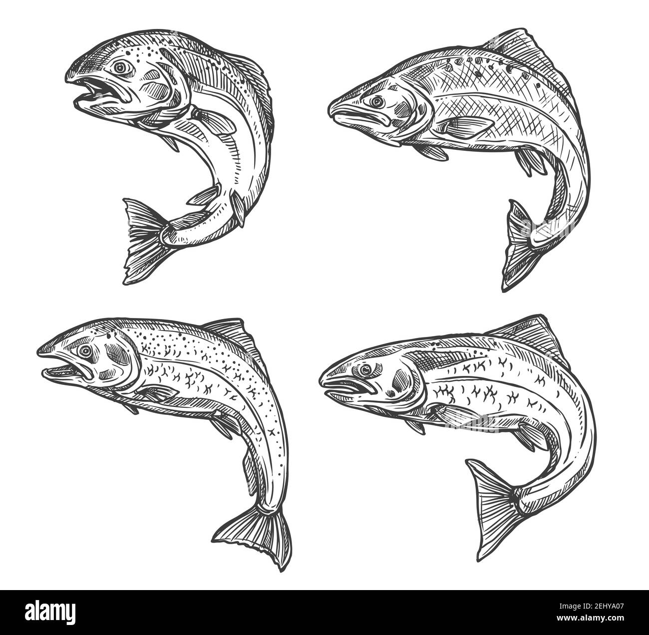 Salmon and trout fish vector sketch isolated icons. Fishing symbols ...