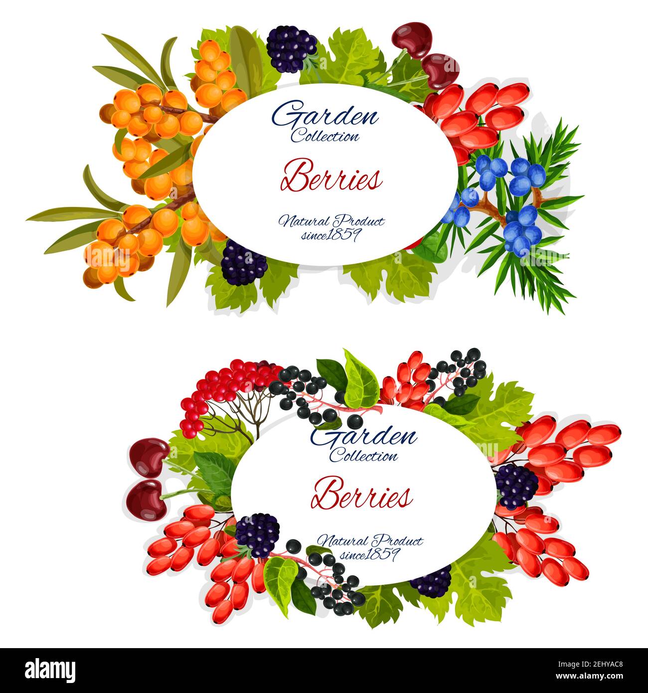 Foxberry farm hi-res stock photography and images - Alamy