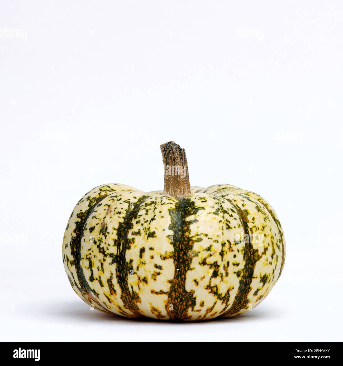 Closeup of an oddly shaped pumpkin on a white background Stock Photo ...