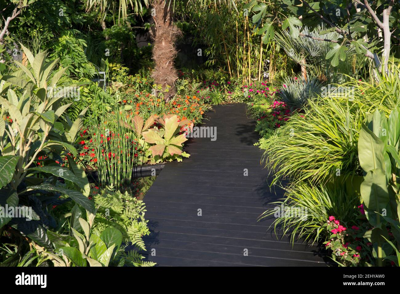 Contemporary garden design plants hi-res stock photography and images ...