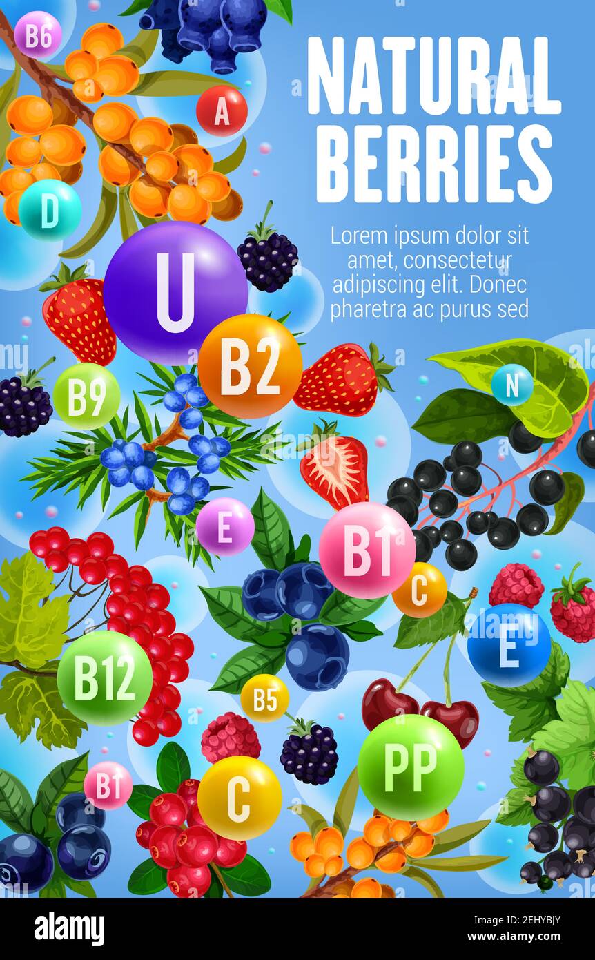 J berry Stock Vector Images - Alamy