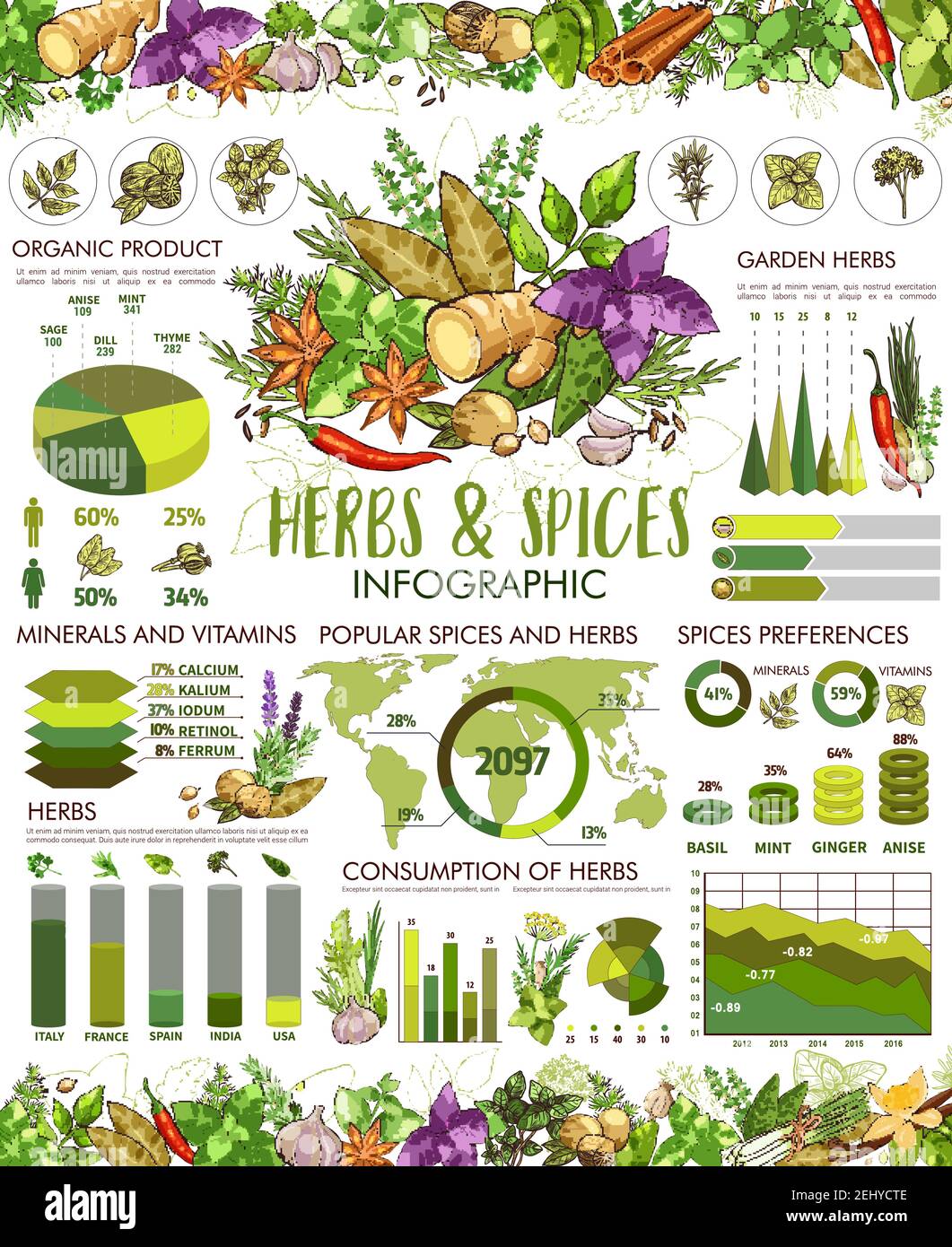 Herbs and spice infographic, cooking seasonings. Vector anise star and ...