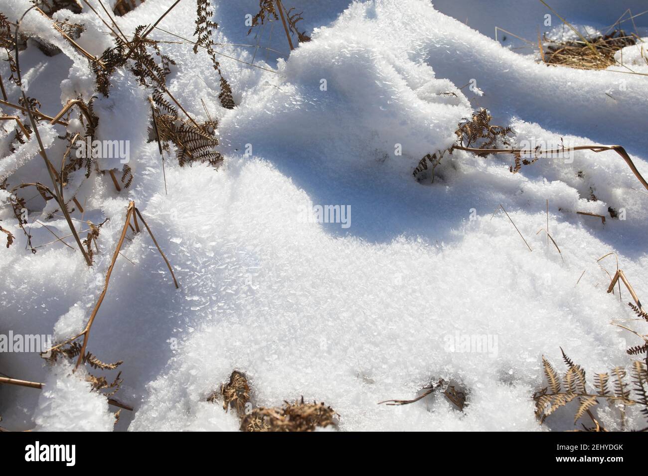 Drifting hi-res stock photography and images - Alamy