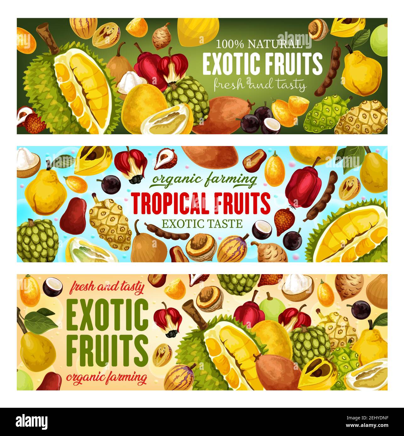 Exotic fruits and tropical berries vector banners design. Asian durian ...