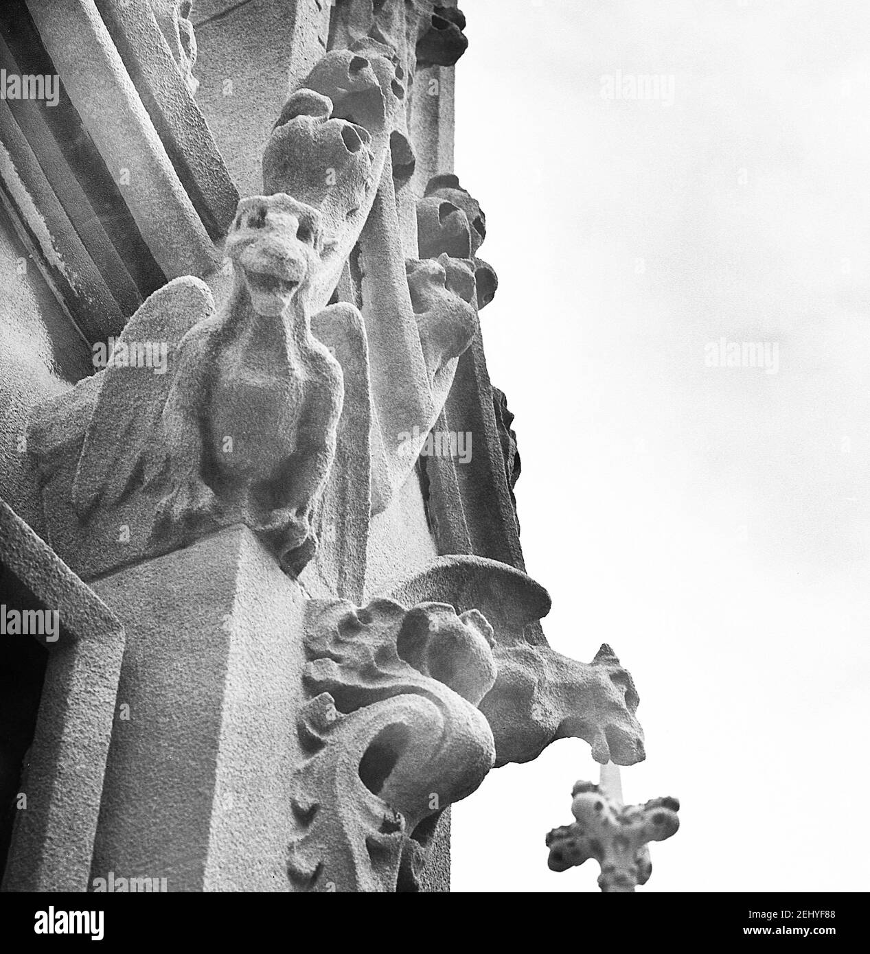 Gargoyle type stone creatures on the back wall of Wilkes University ...