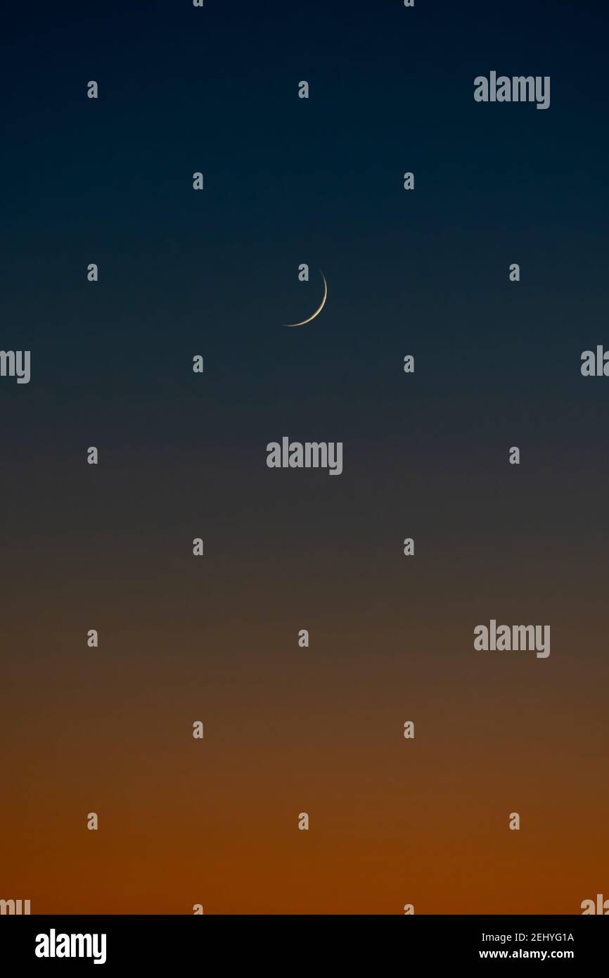 The Shade Of The Moon