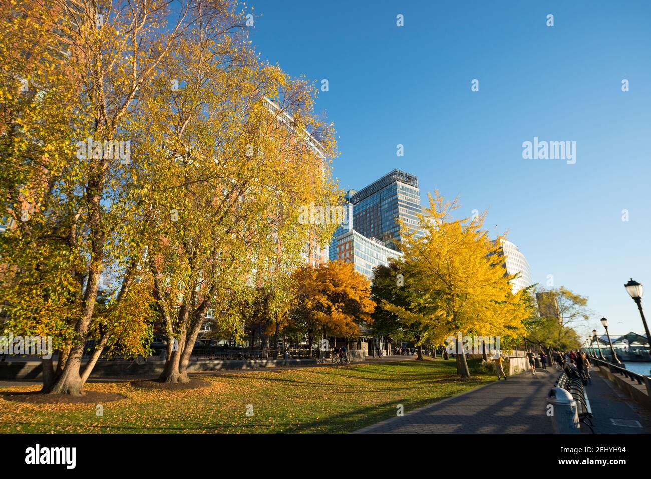 New york city tree hi-res stock photography and images - Alamy