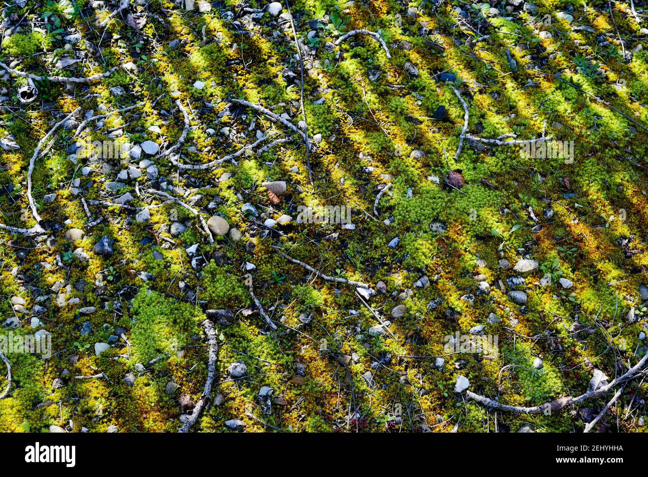 Cribwork hi-res stock photography and images - Alamy