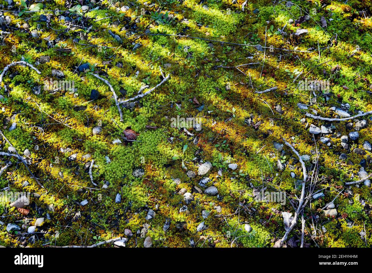 Cribwork fence hi-res stock photography and images - Alamy