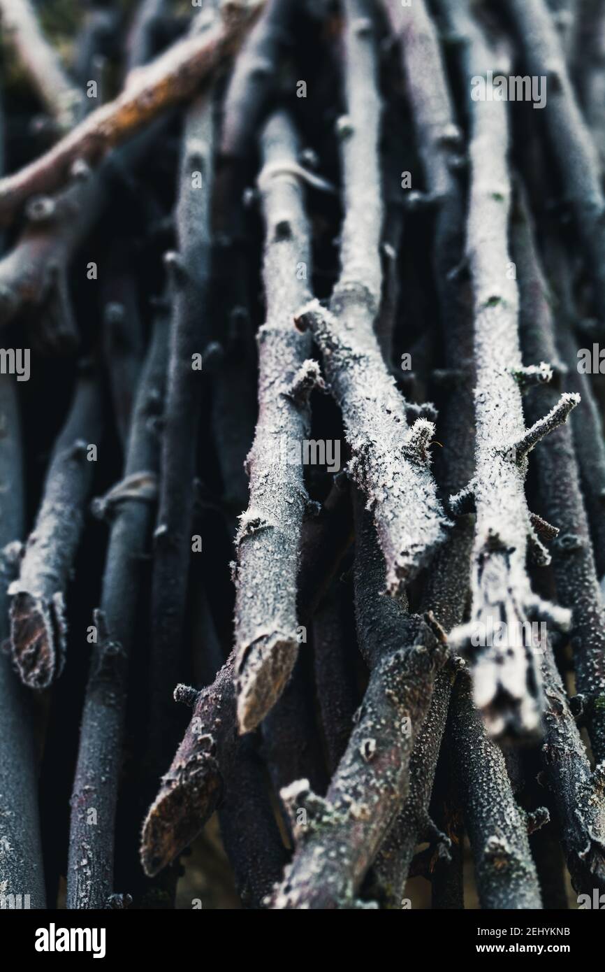 Fire flame frost hi-res stock photography and images - Alamy