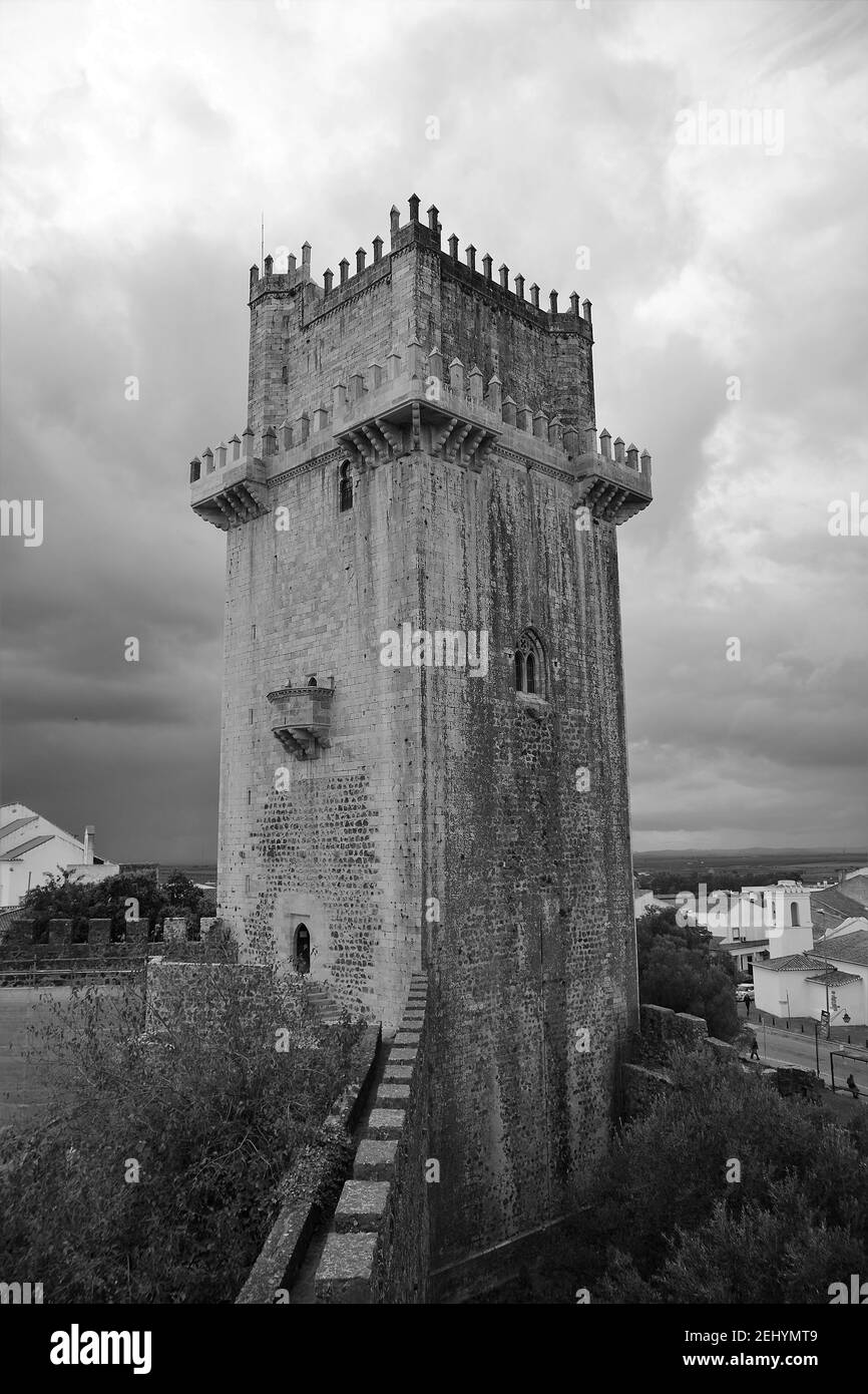 Grayscale shot of the Torre De Menagem Tower in the medieval castle in ...