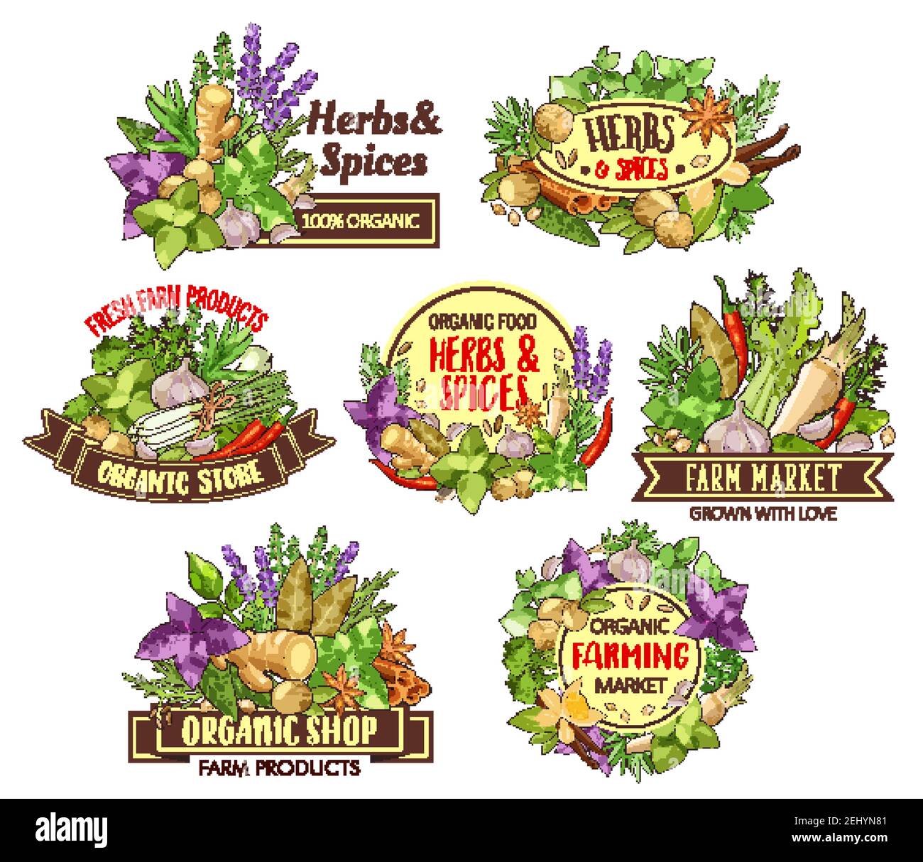 Spices and herbs, cooking food ingredients vector sketches with ...