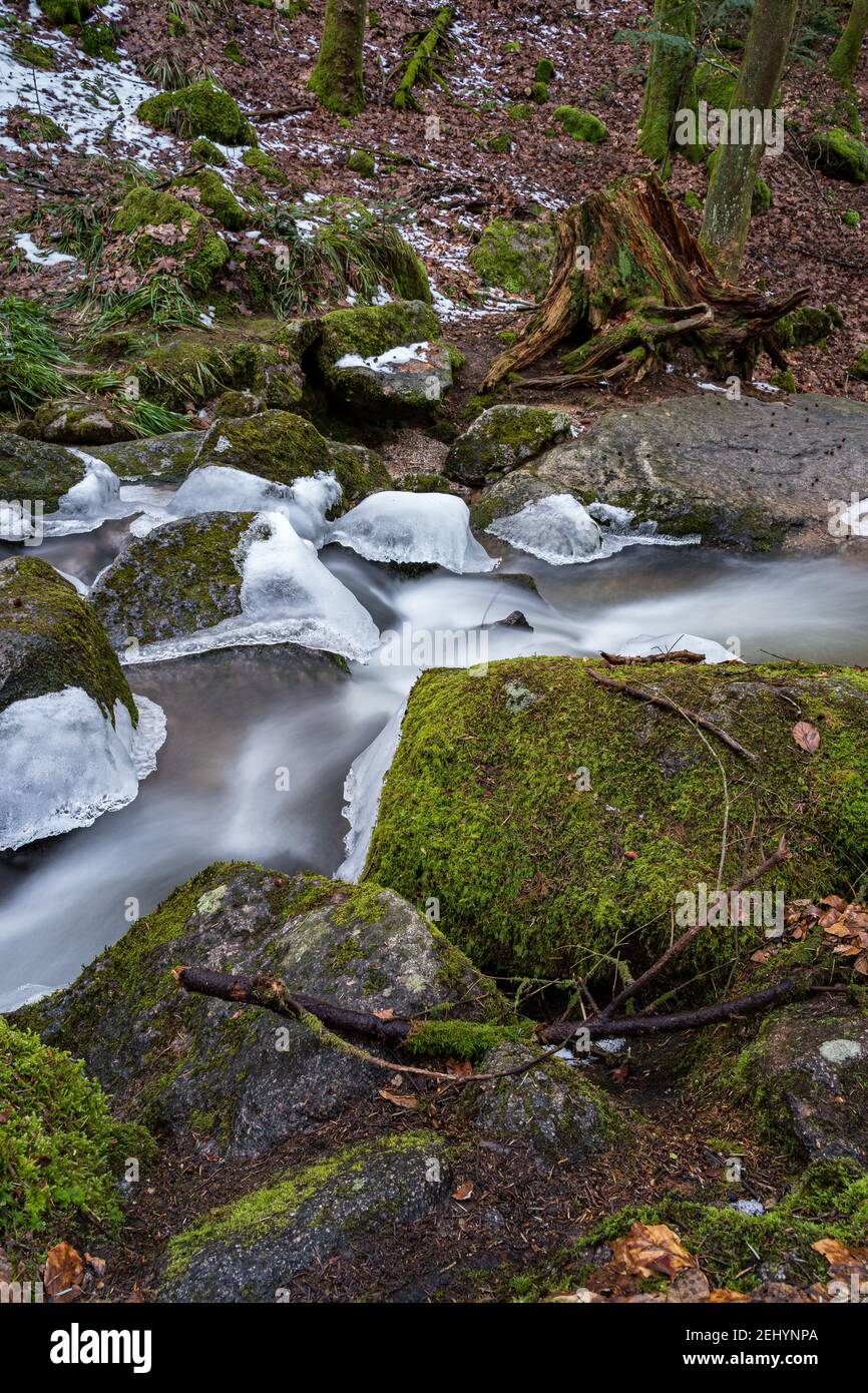 Vertical shot of a frozen water stream covered in moss in winter Stock ...