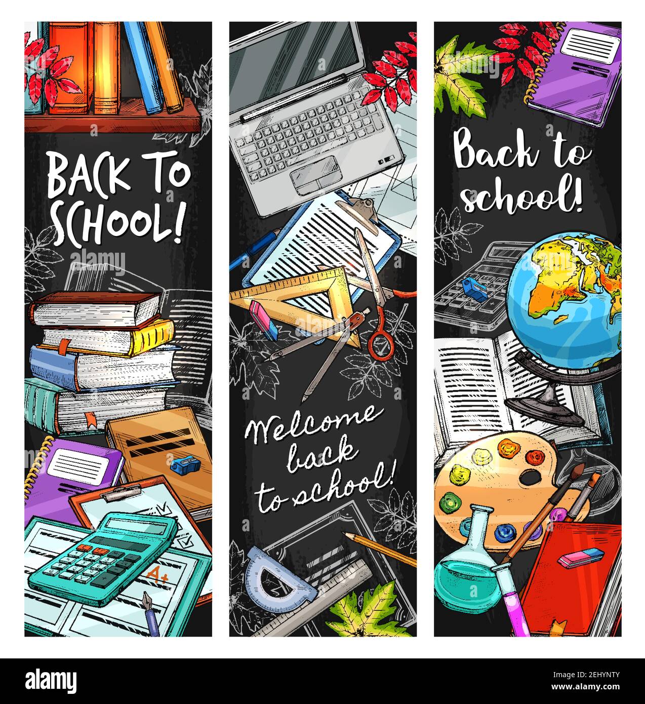 Back to School sketch education stationery and books on blackboard ...