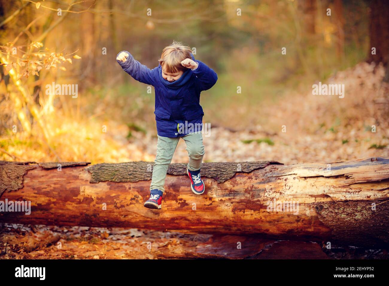 Little child jumping over a broken tree trunk in the middle of a forest ...
