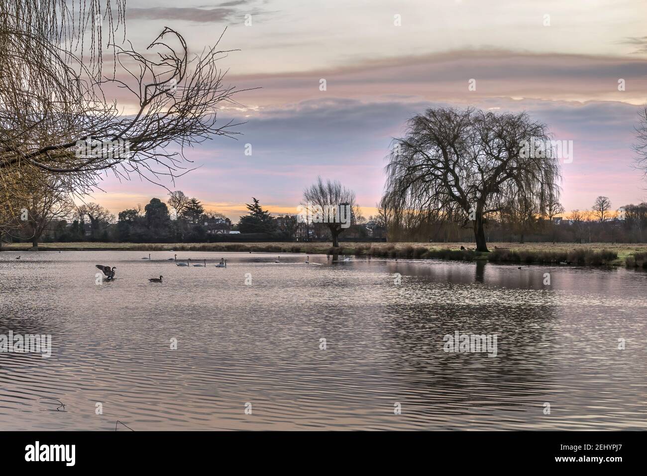 morning coloured sky and water reflection Stock Photo - Alamy