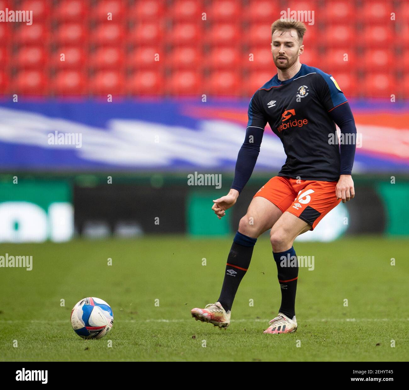 English bree hi-res stock photography and images - Alamy