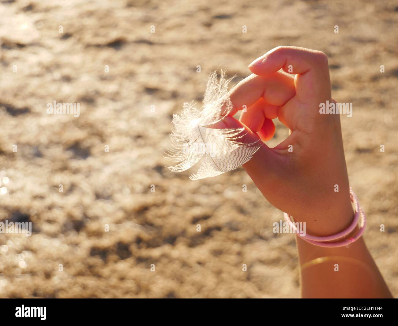 Hand And Feather High Resolution Stock Photography and Images - Alamy