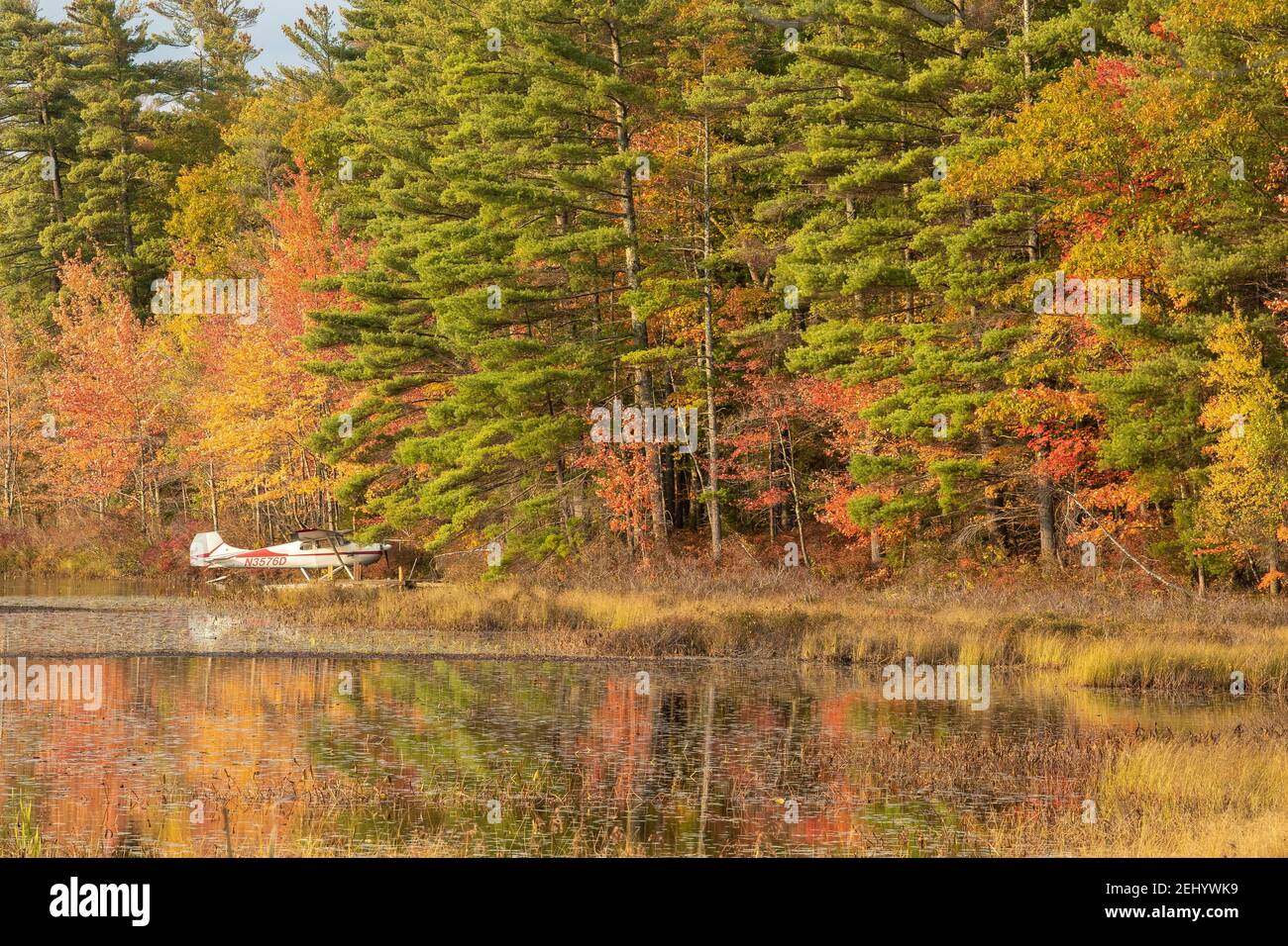 Berry Pond is located right off RT 25 in New Hampshire's Lake Region ...