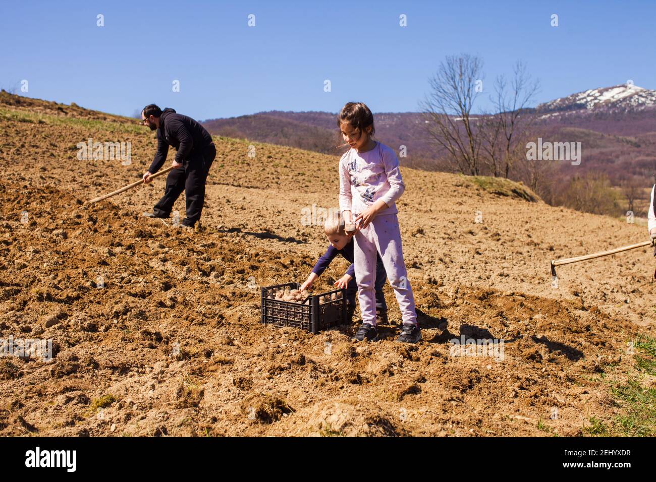 The help of little helpers is priceless Stock Photo - Alamy