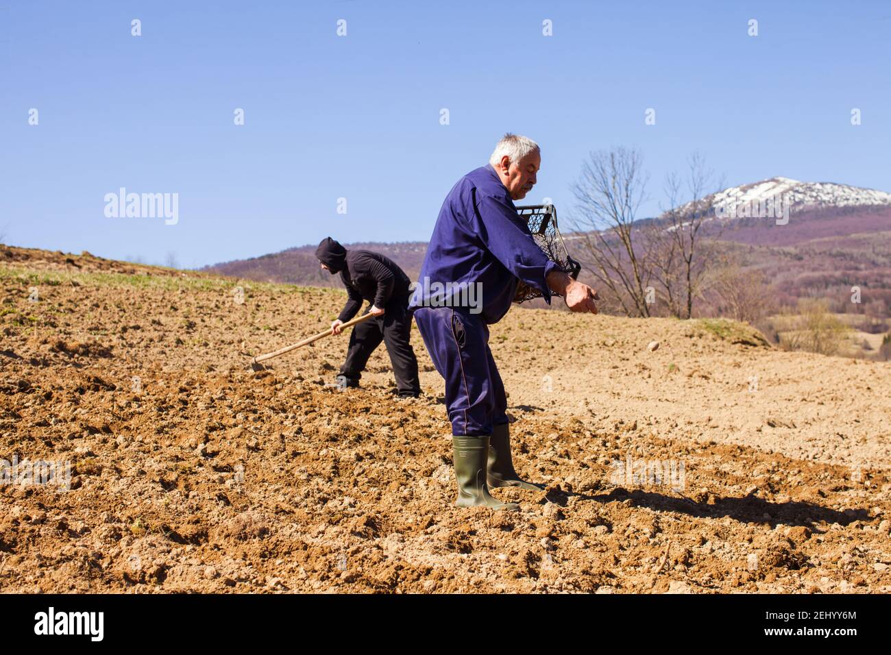 Successful farming is a hard family business Stock Photo - Alamy