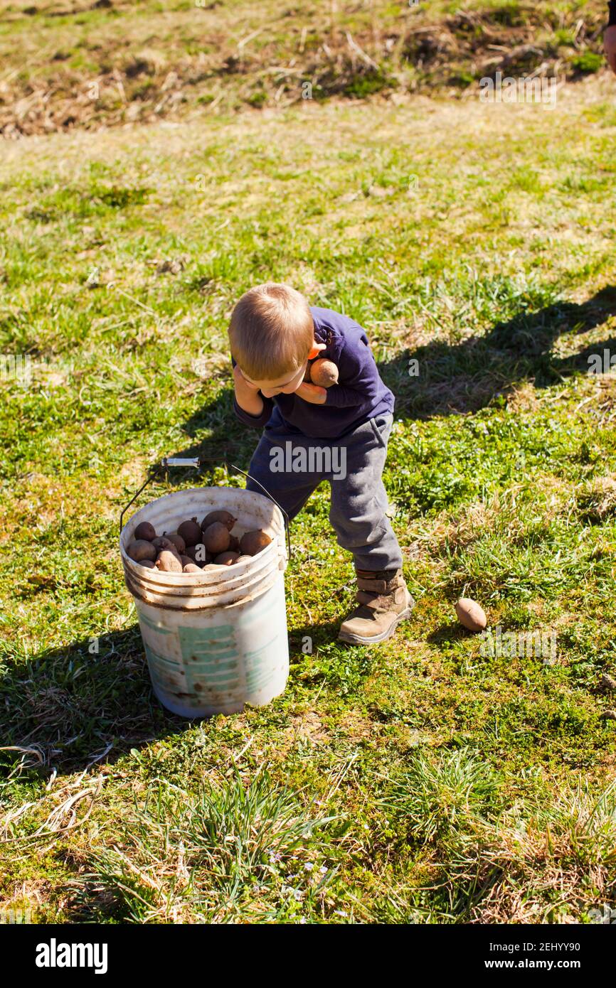 The help of little helpers is priceless Stock Photo - Alamy