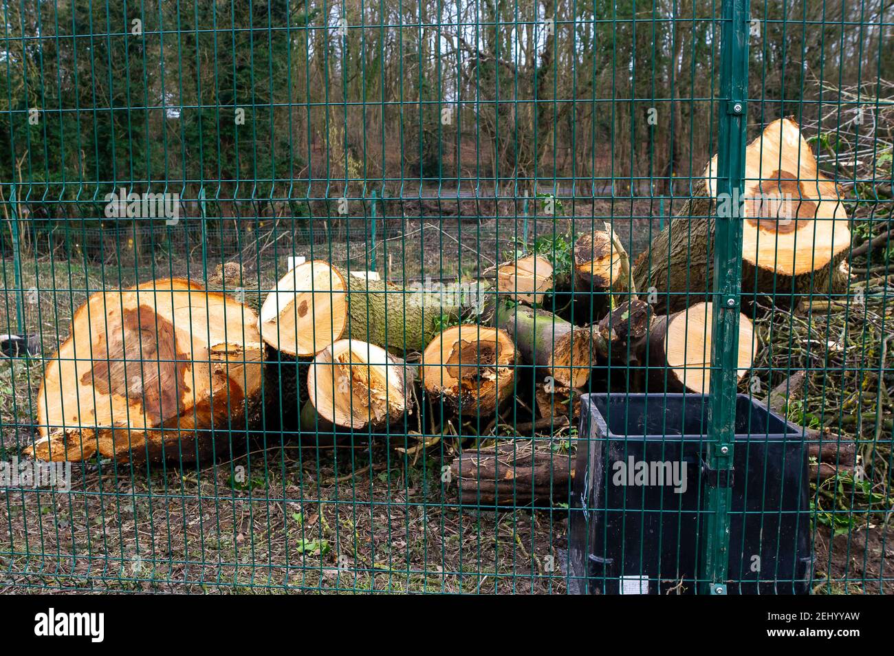 Hs2 guard dogs hi-res stock photography and images - Alamy