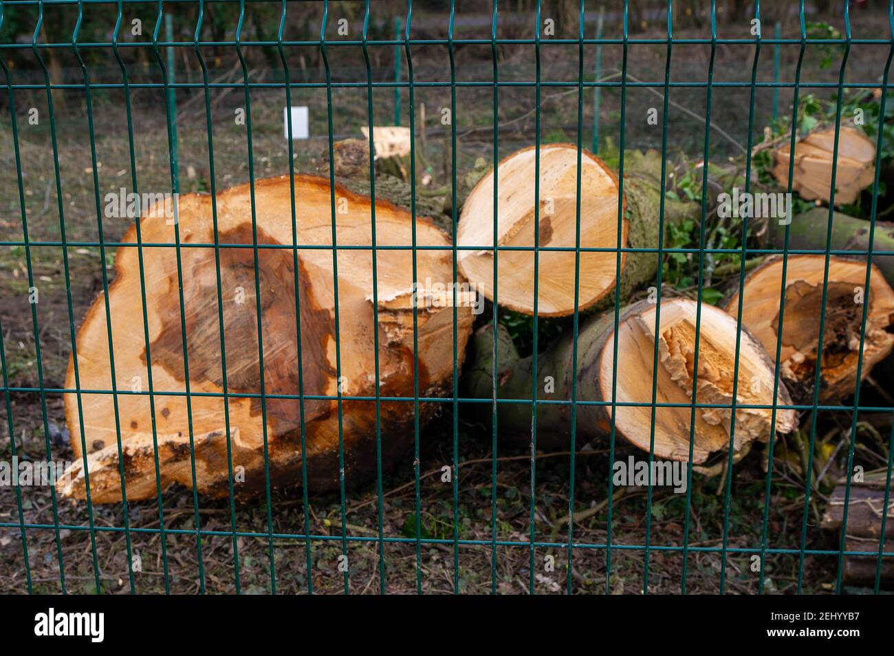 Hs2 guard dogs hi-res stock photography and images - Alamy
