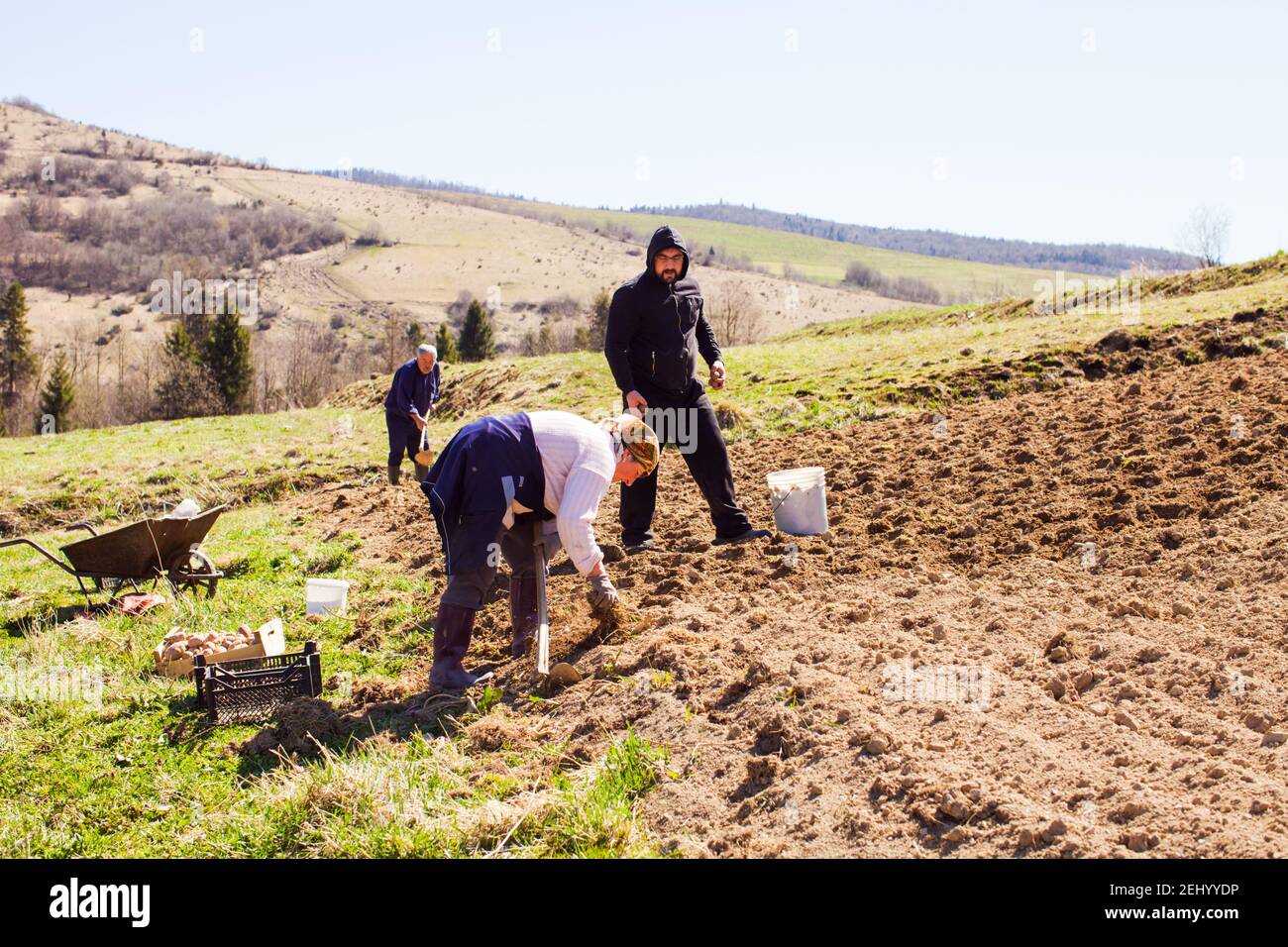 Successful farming is a hard family business Stock Photo - Alamy