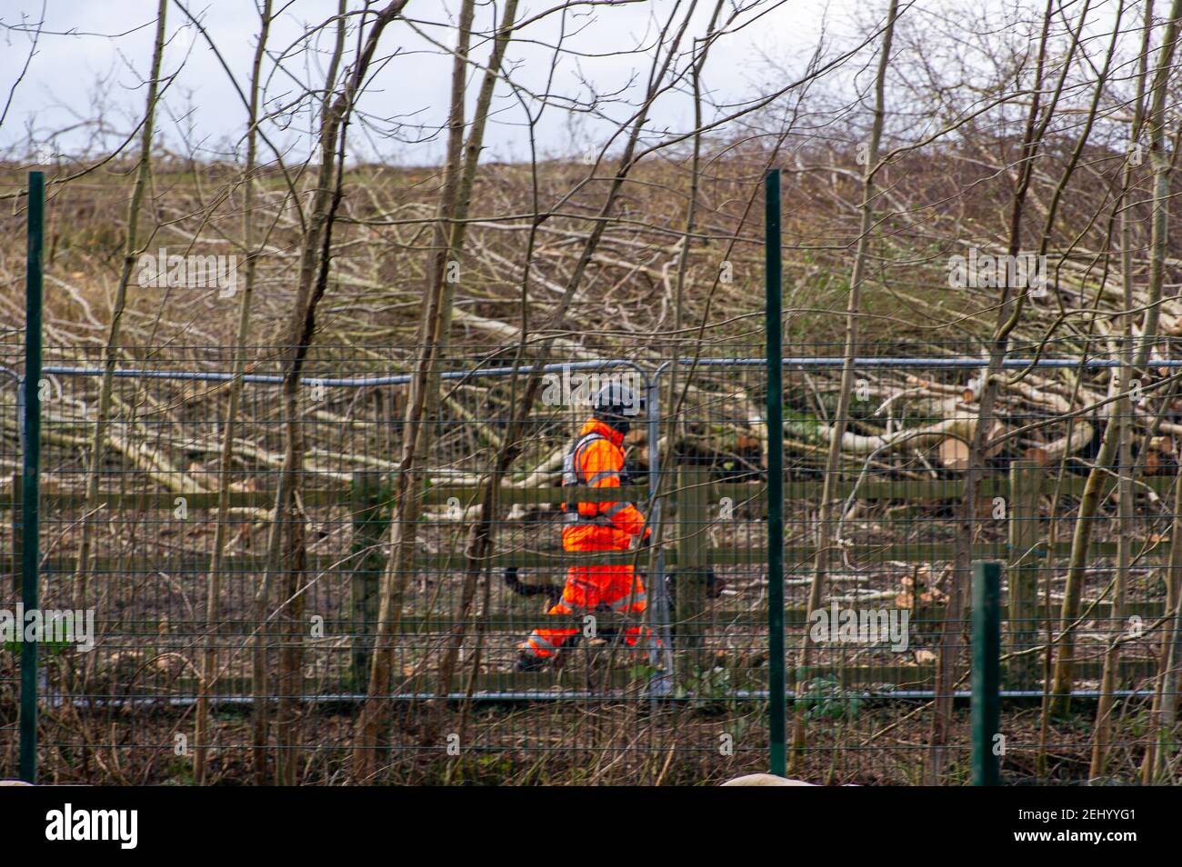 Hs2 guard dogs hi-res stock photography and images - Alamy
