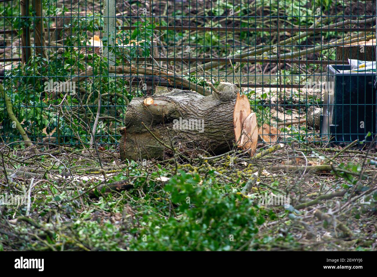 Hs2 guard dogs hi-res stock photography and images - Alamy