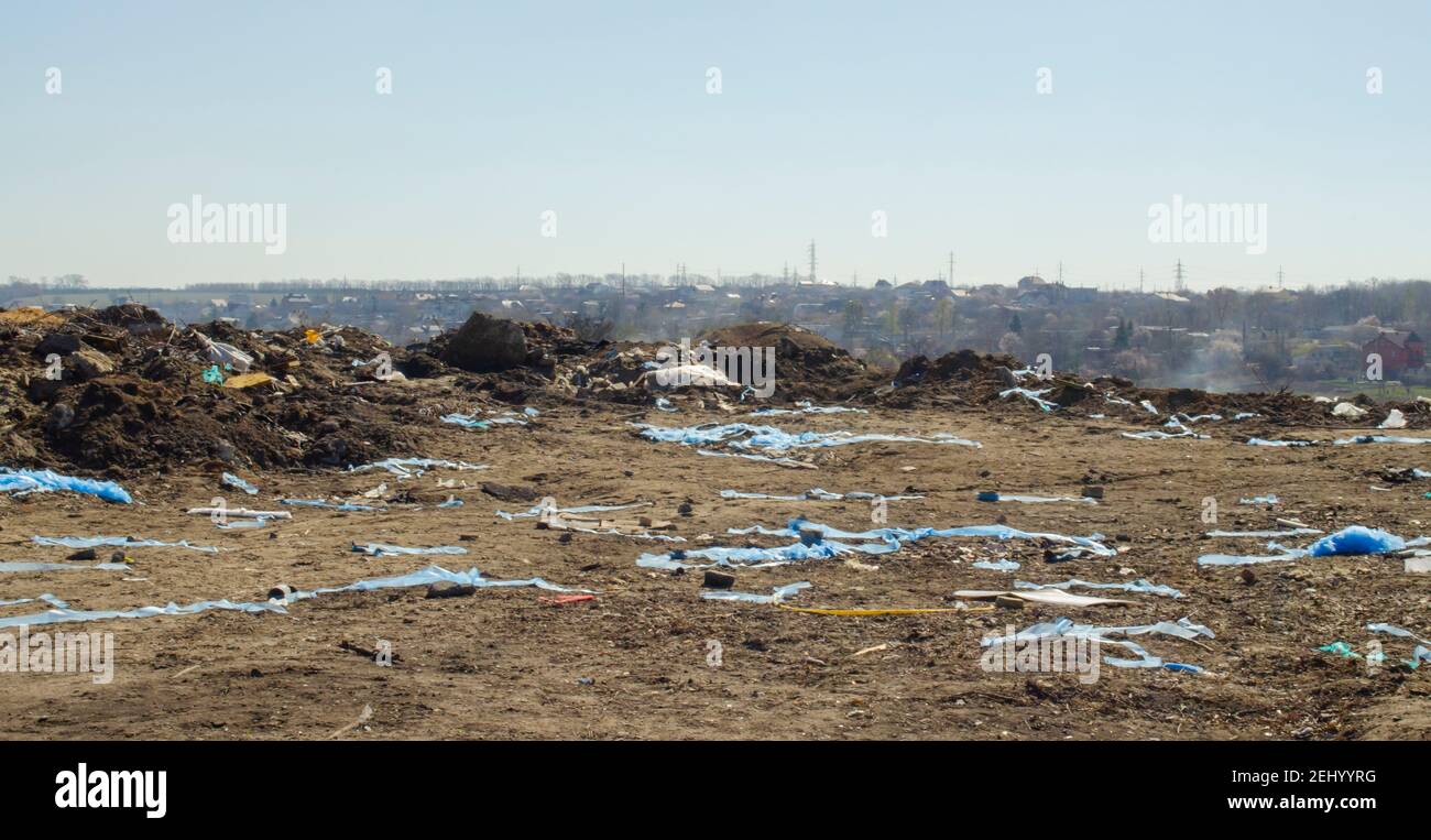 Dead fish and garbage at the riverside with blur city background Stock ...