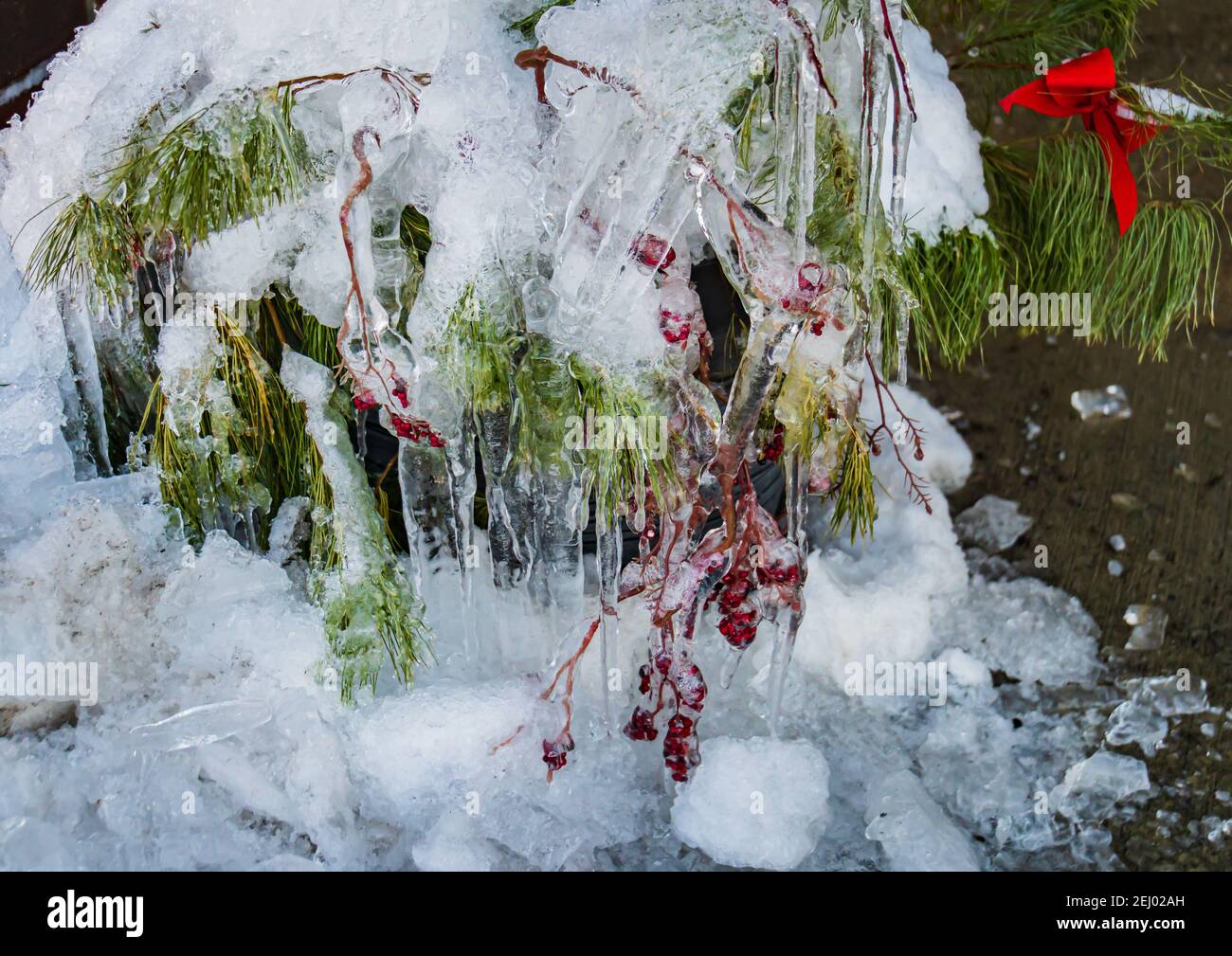 winter holiday decorations frozen in ice Stock Photo - Alamy
