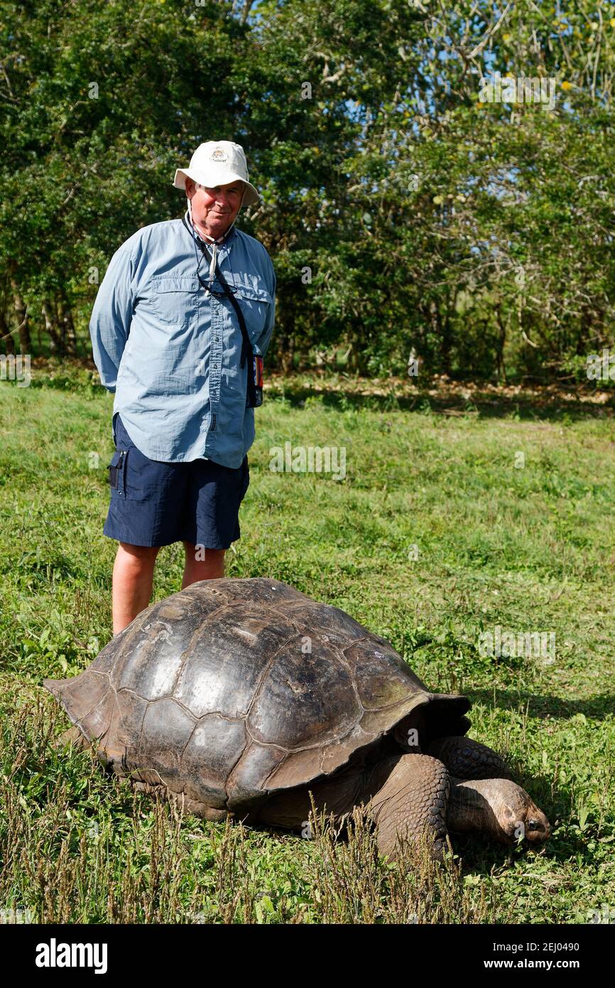 Galapagos Giant Tortoise, man standing beside, large reptile, long ...