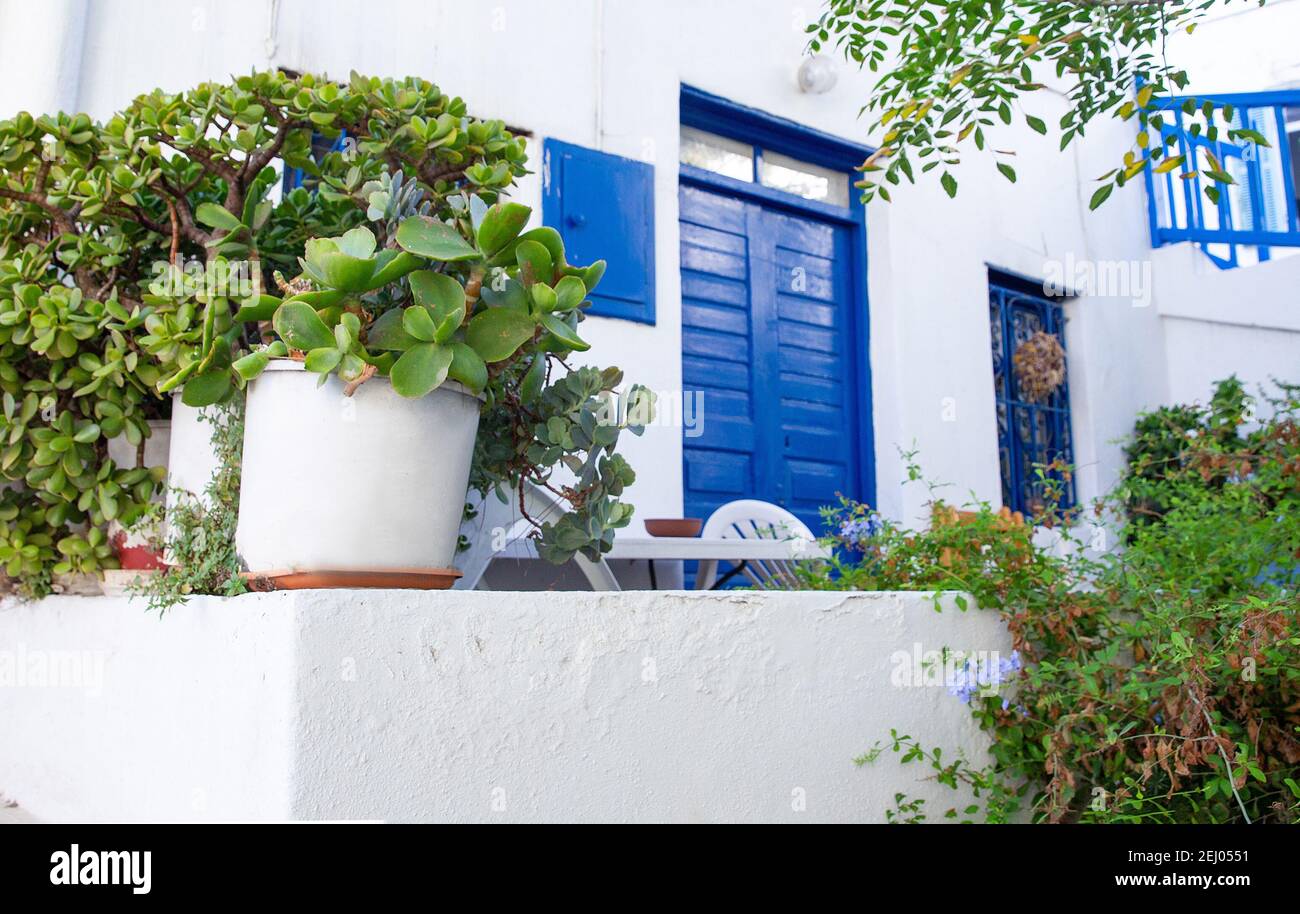 Potted plants near greek house with typical whire colo of walls and ...