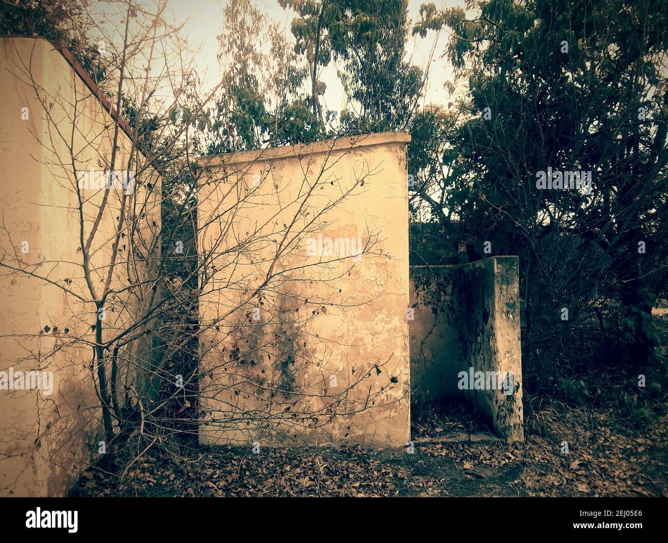 Neglected rejected hi-res stock photography and images - Alamy