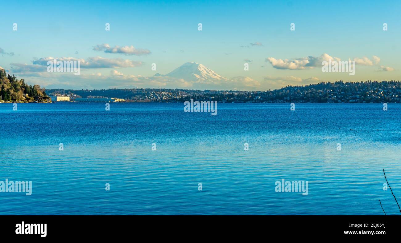 A landscape shot of Mount Rainier from Seward Park in Seattle ...